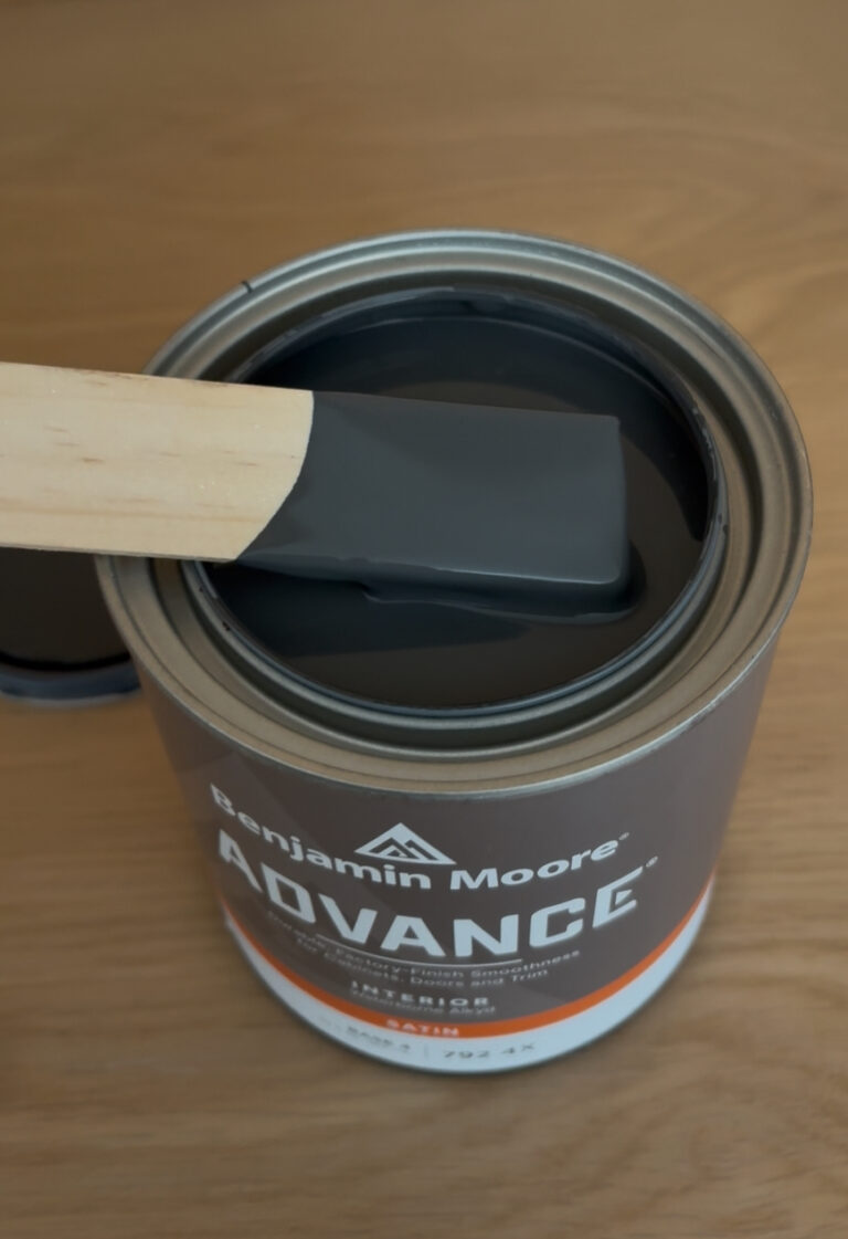 Benjamin Moore Onyx Paint Review - Allisa Jacobs Home & Design